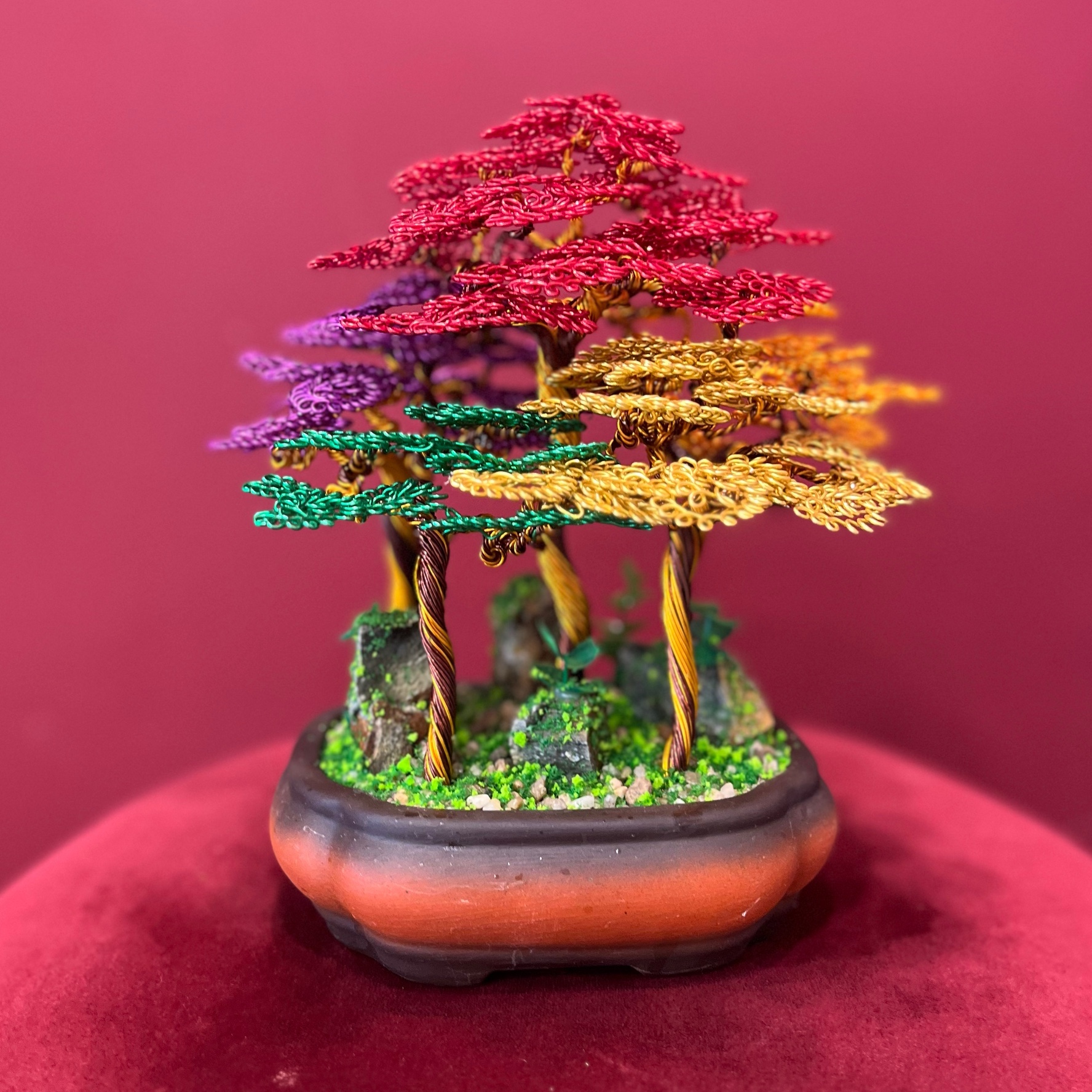 Bonsai Đặc Biệt